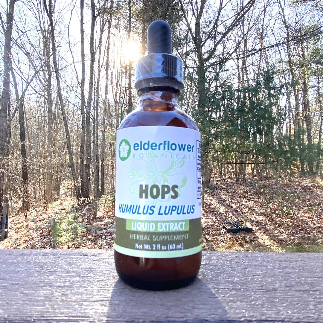 Hops Herbal Extract, Humulus Lupulus, Organic Tincture, Sleep - Etsy