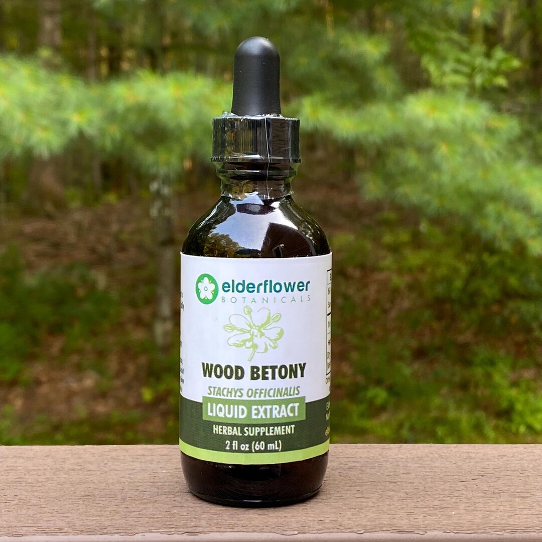 Wood Betony Herbal Extract, Stachys Officinalis, Organic Tincture. - Etsy
