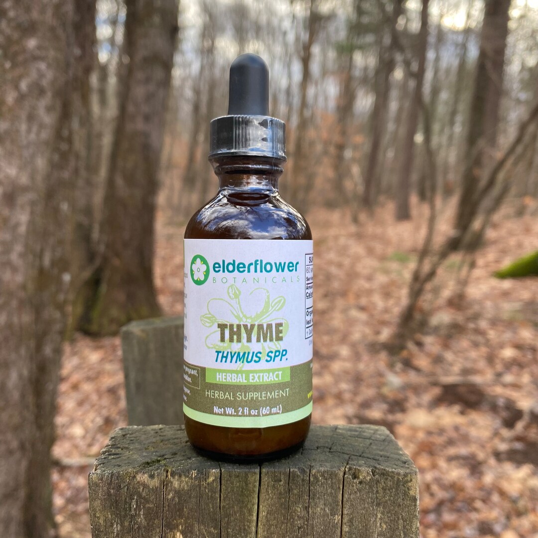 Thyme Herbal Extract, Organic Thymus Vulgaris Tincture - Etsy