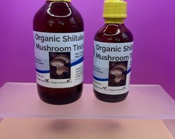 Wildcrafted Oyster Mushroom Tincture - Etsy