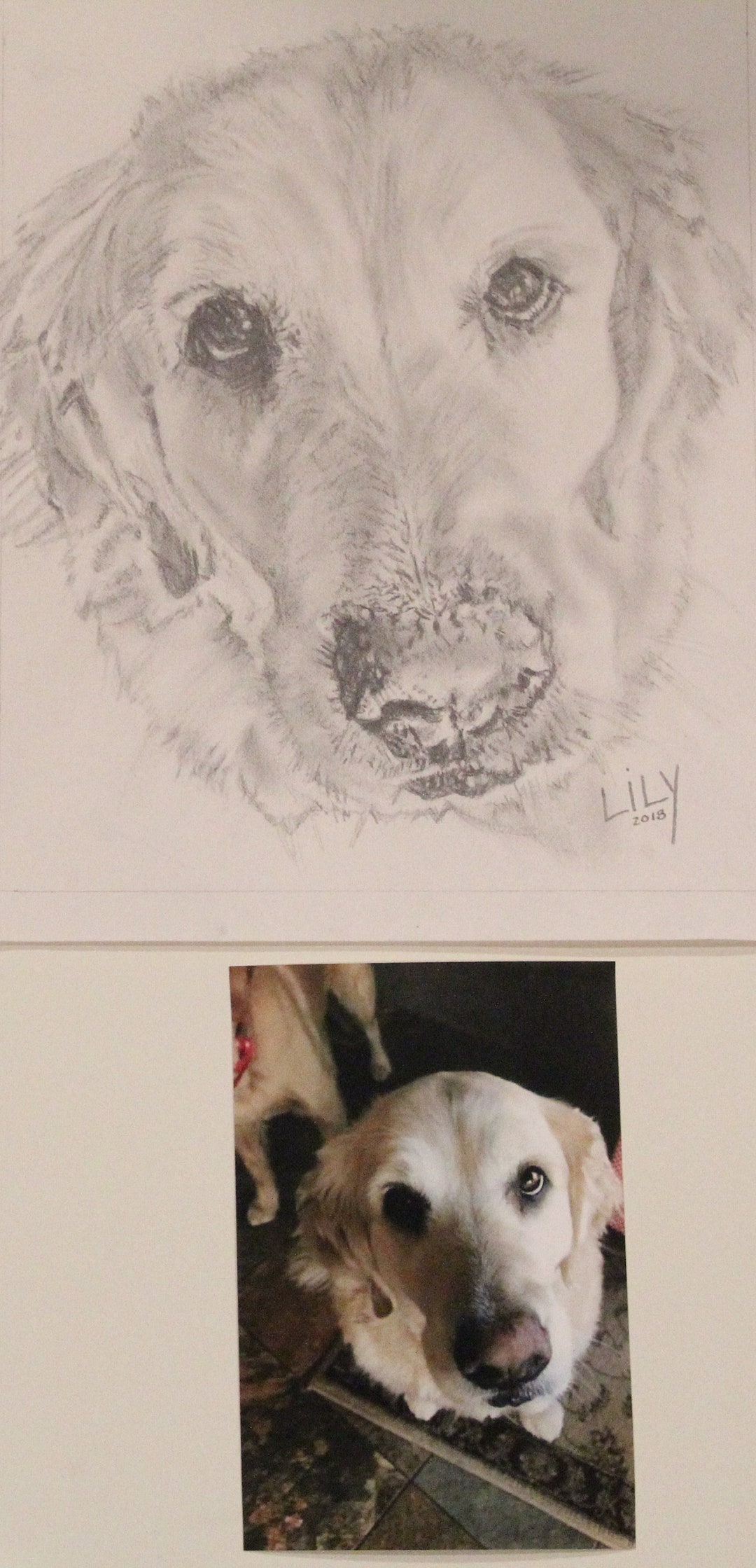 Personalized Portraits, Drawings of Animals, Houses, Cars, Trucks ...