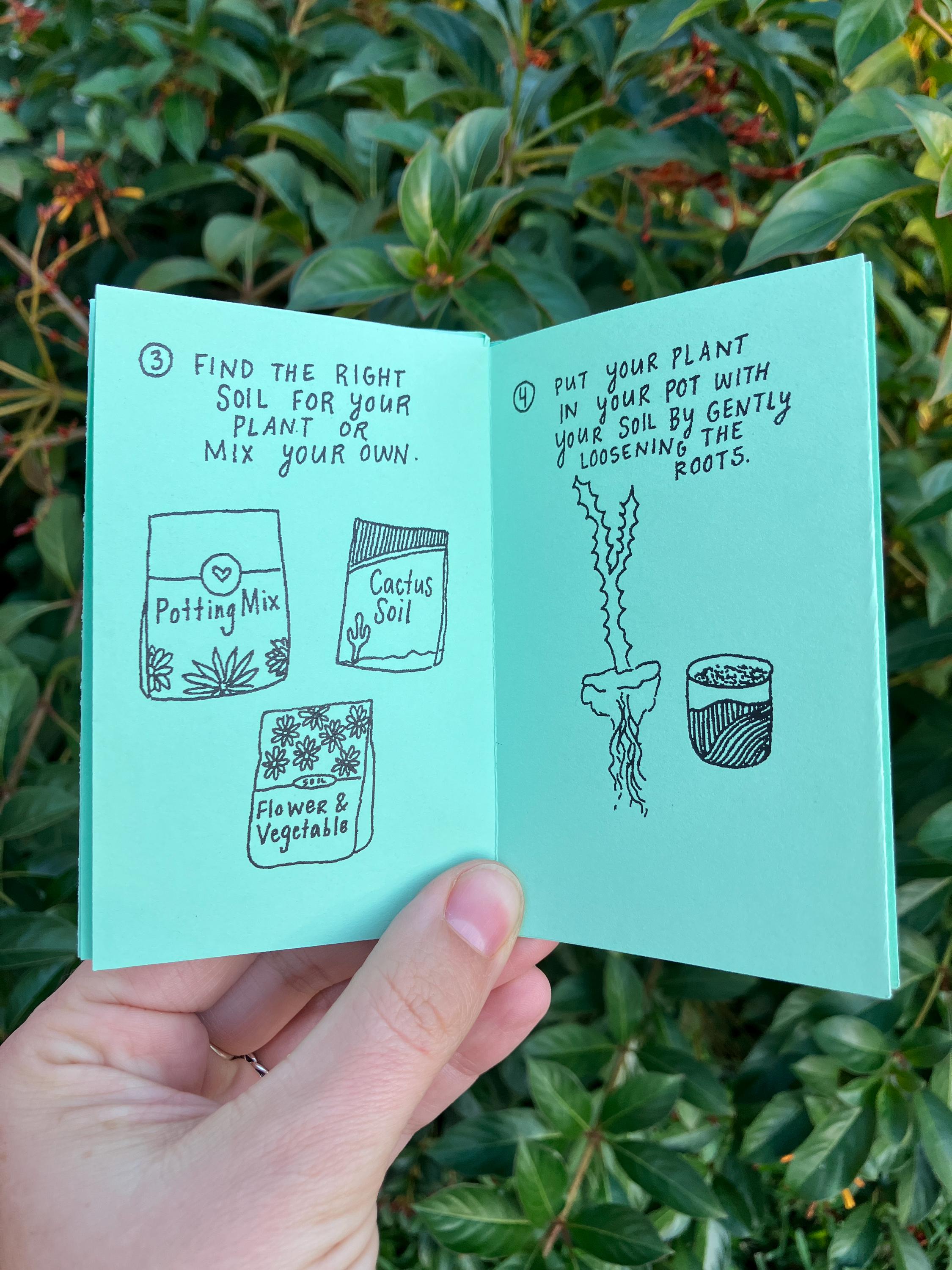 Plant Basics - a Small and Simple Zine About Taking Care of Plants - Etsy