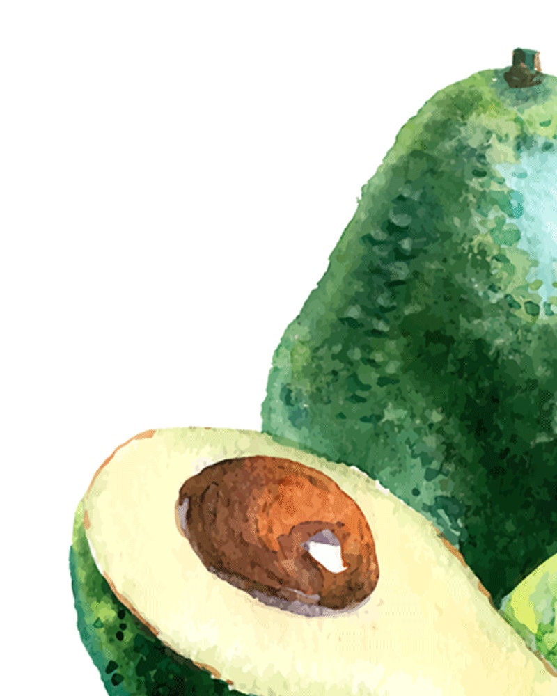 Avocado-Avocado print-Avocado wall art-Aguacate-Aguacate wall | Etsy