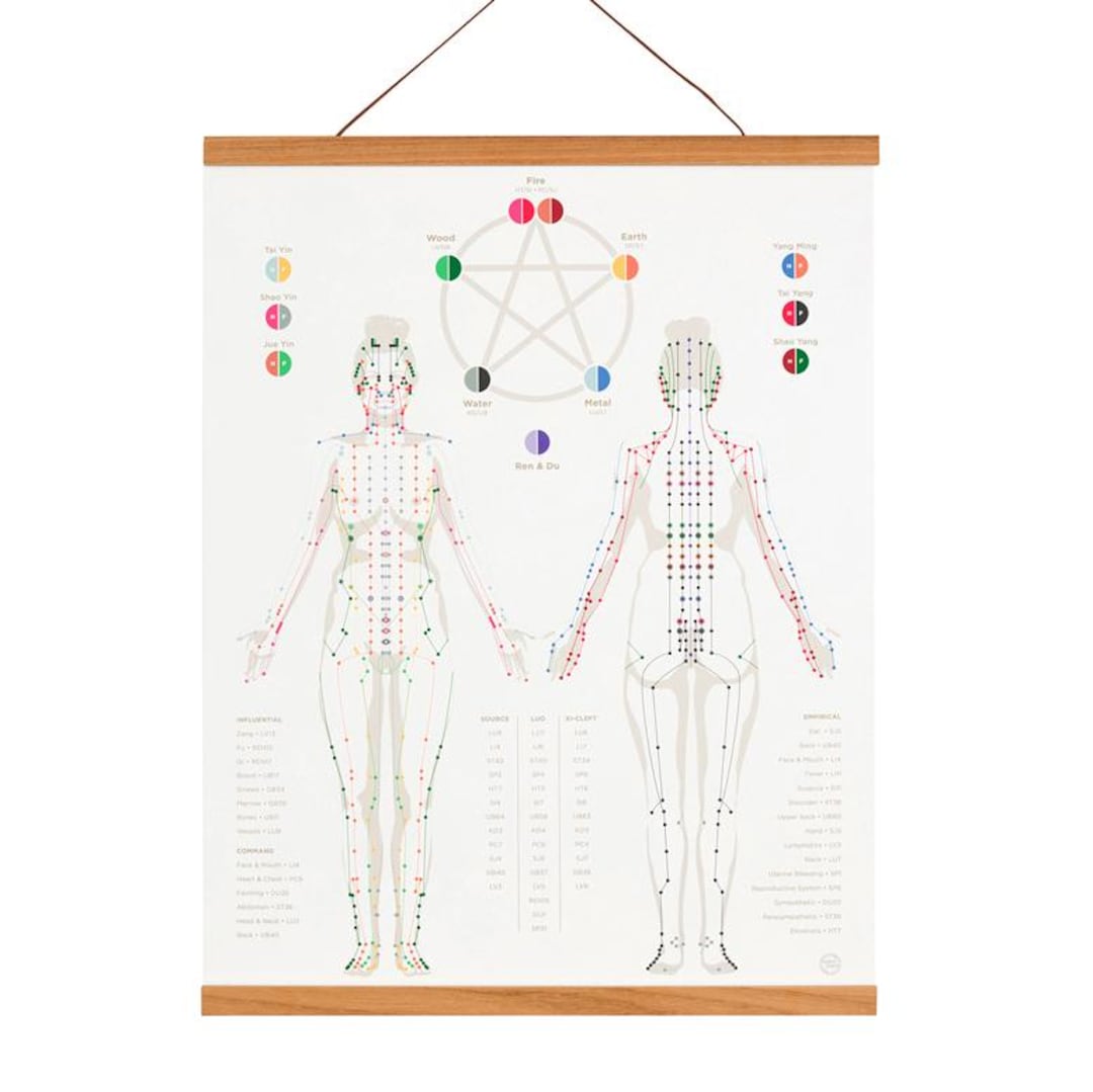 Acupuncture Meridian Channel Wall Art 17" X 22" • Chinese Medicine ...