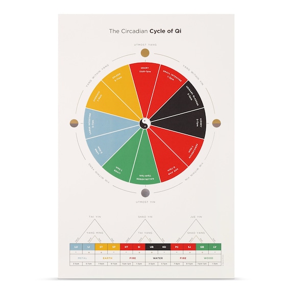 Circadian Cycle of Qi 12 X 18 Art Print Poster - Etsy