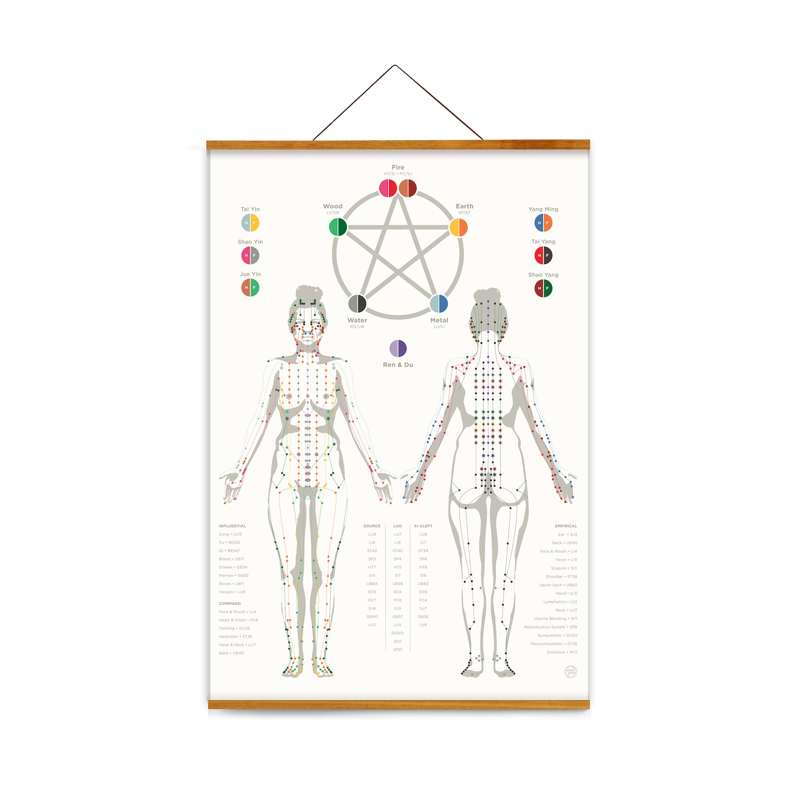 Acupuncture Meridian Channel Wall Art 25" X 36" • Chinese Medicine ...