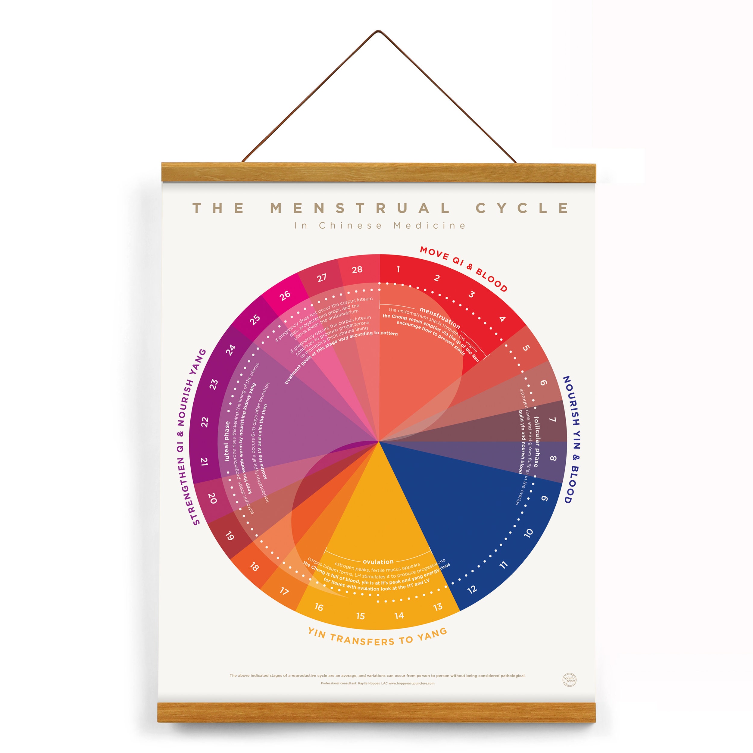 The Menstrual Cycle in Chinese Medicine 16" X 20", Acupuncture, TCM ...