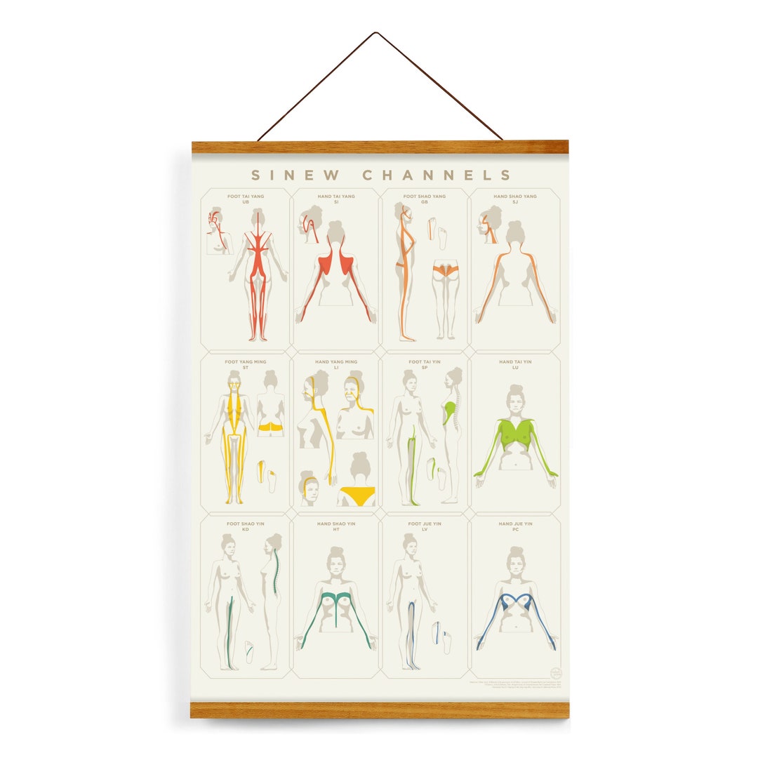 Sinew Channels 17 X 25, Frame Optional, Acupuncture, Chinese Medicine ...