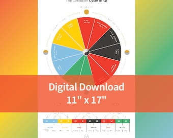 Chinese Medicine Meridian Organ Body Qi Clock TCM Associations Five ...