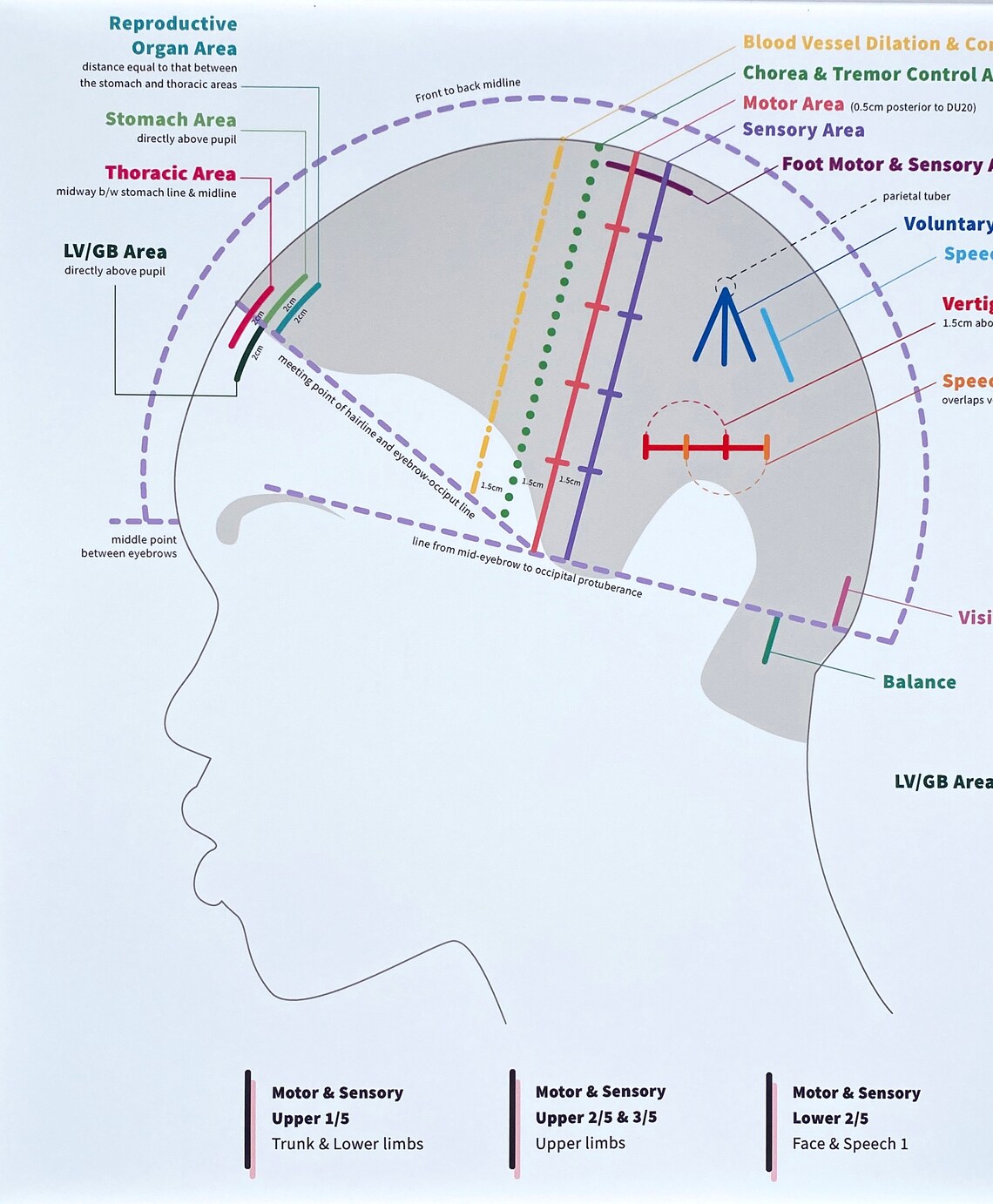Doctor Acupuncture Program at Marcos Hines blog