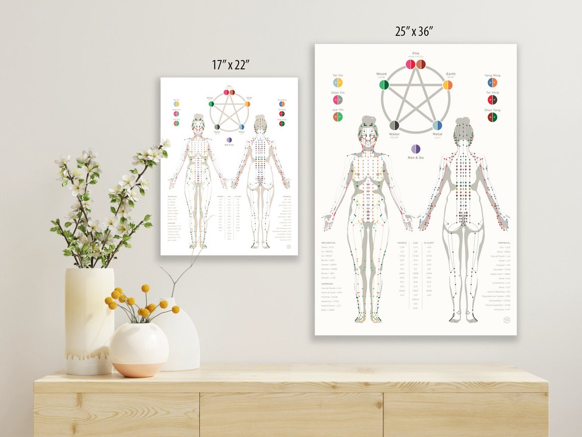 Acupuncture Meridian Channel Wall Art 25" X 36" • Chinese Medicine ...