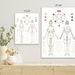 Acupuncture Meridian Channel Wall Art 25" X 36" • Chinese Medicine ...