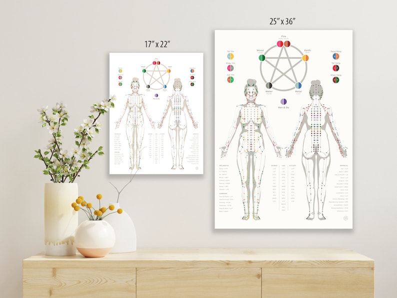 Acupuncture Meridian Channel Wall Art 25" X 36" • Chinese Medicine ...
