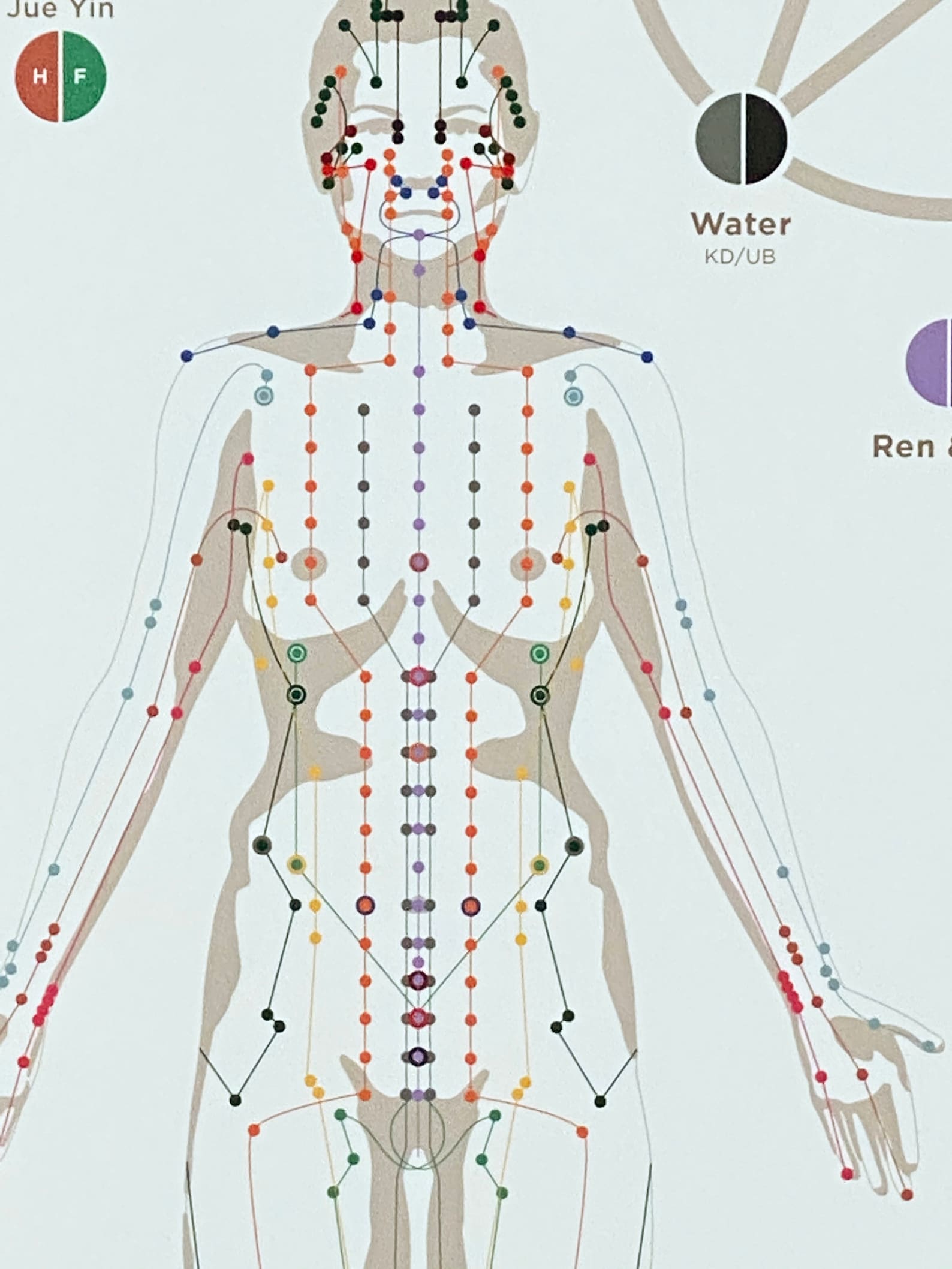 Acupuncture Meridian Channel Wall Art 17" X 22" • Chinese Medicine ...