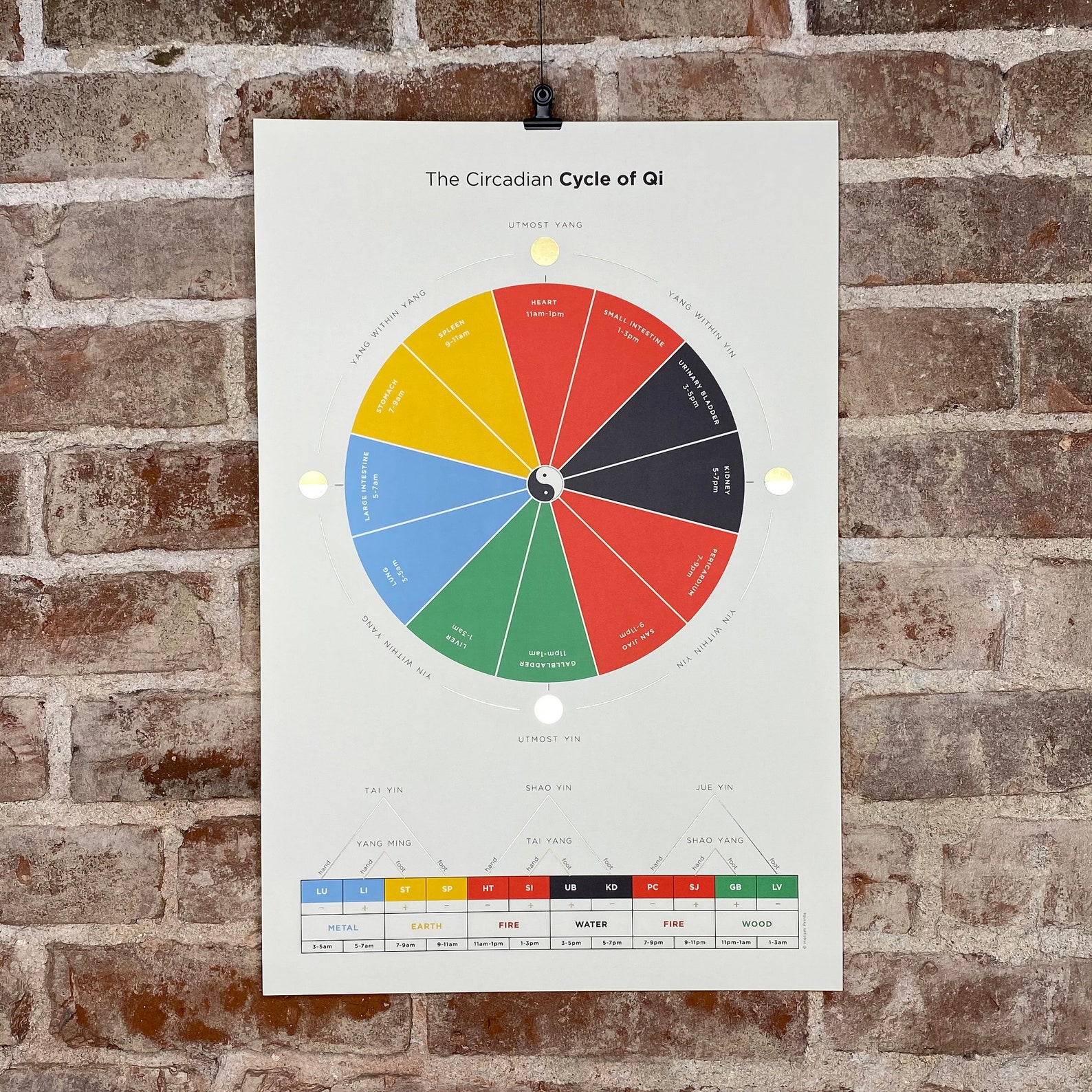 Circadian Cycle of Qi 12" X 18" Art Print Poster • Chinese Medicine ...