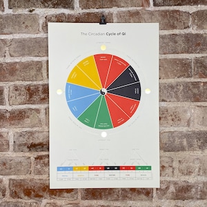 Circadian Cycle of Qi 12" X 18" Art Print Poster • Chinese Medicine ...