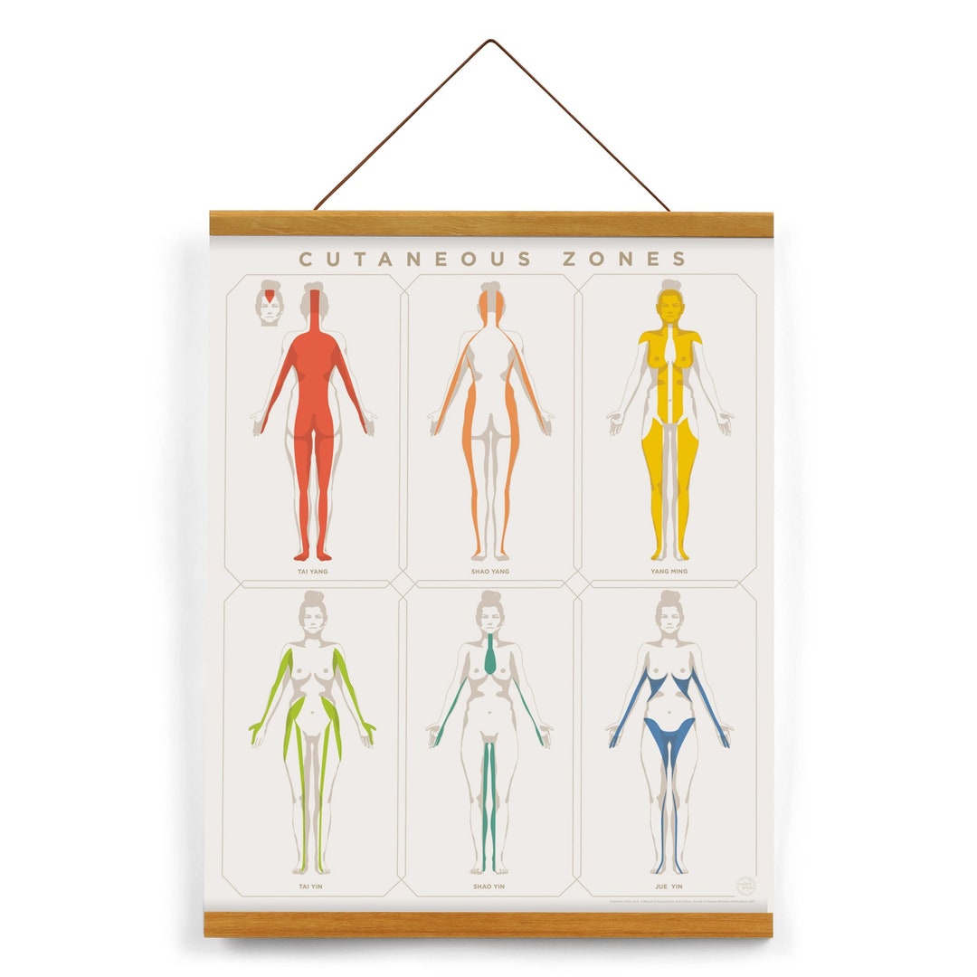 Cutaneous Zones 16" X 20" Acupuncture, Chinese Medicine, Frame Optional ...