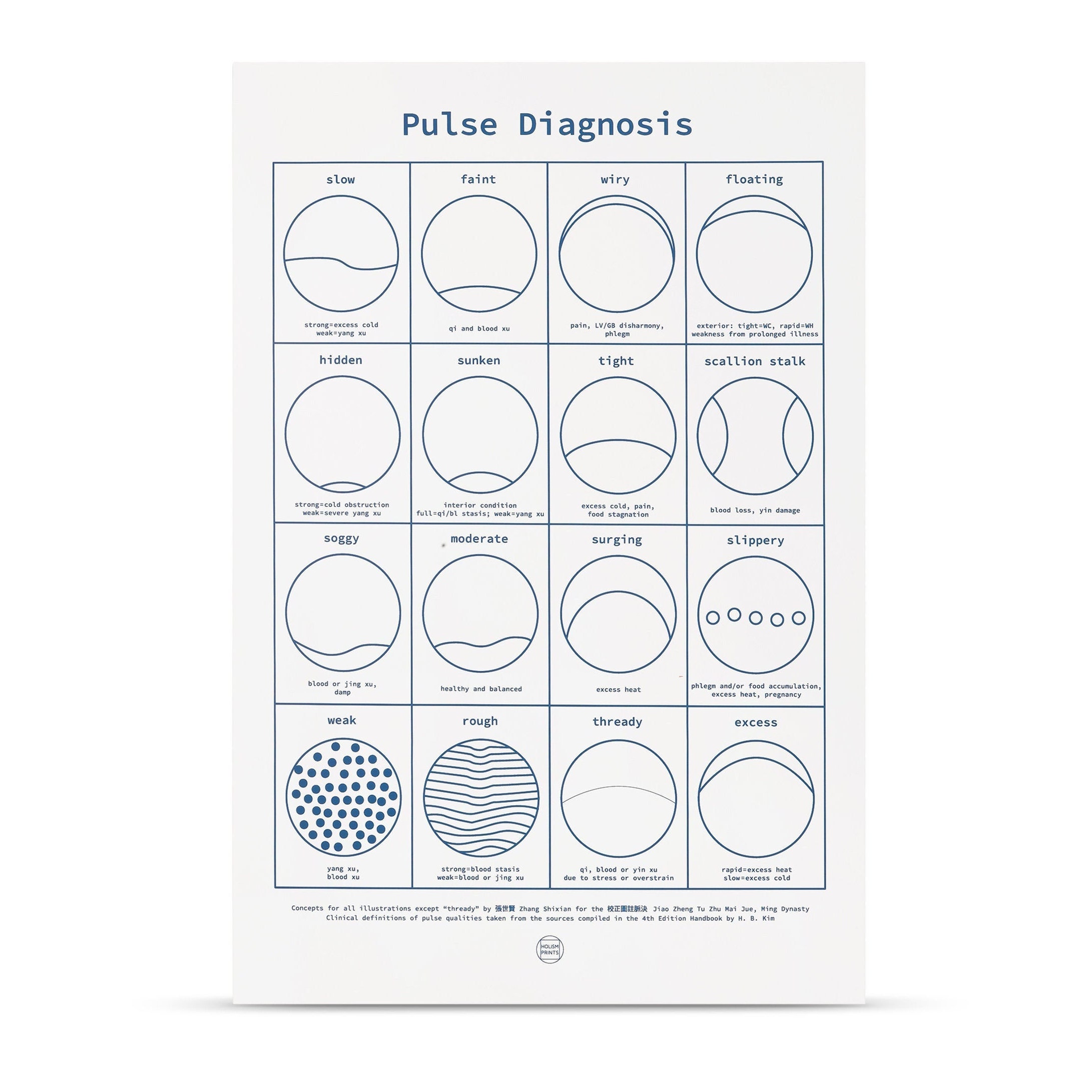 Pulse Diagnosis Print (navy Blue) 13” X 19” • Chinese Medicine ...