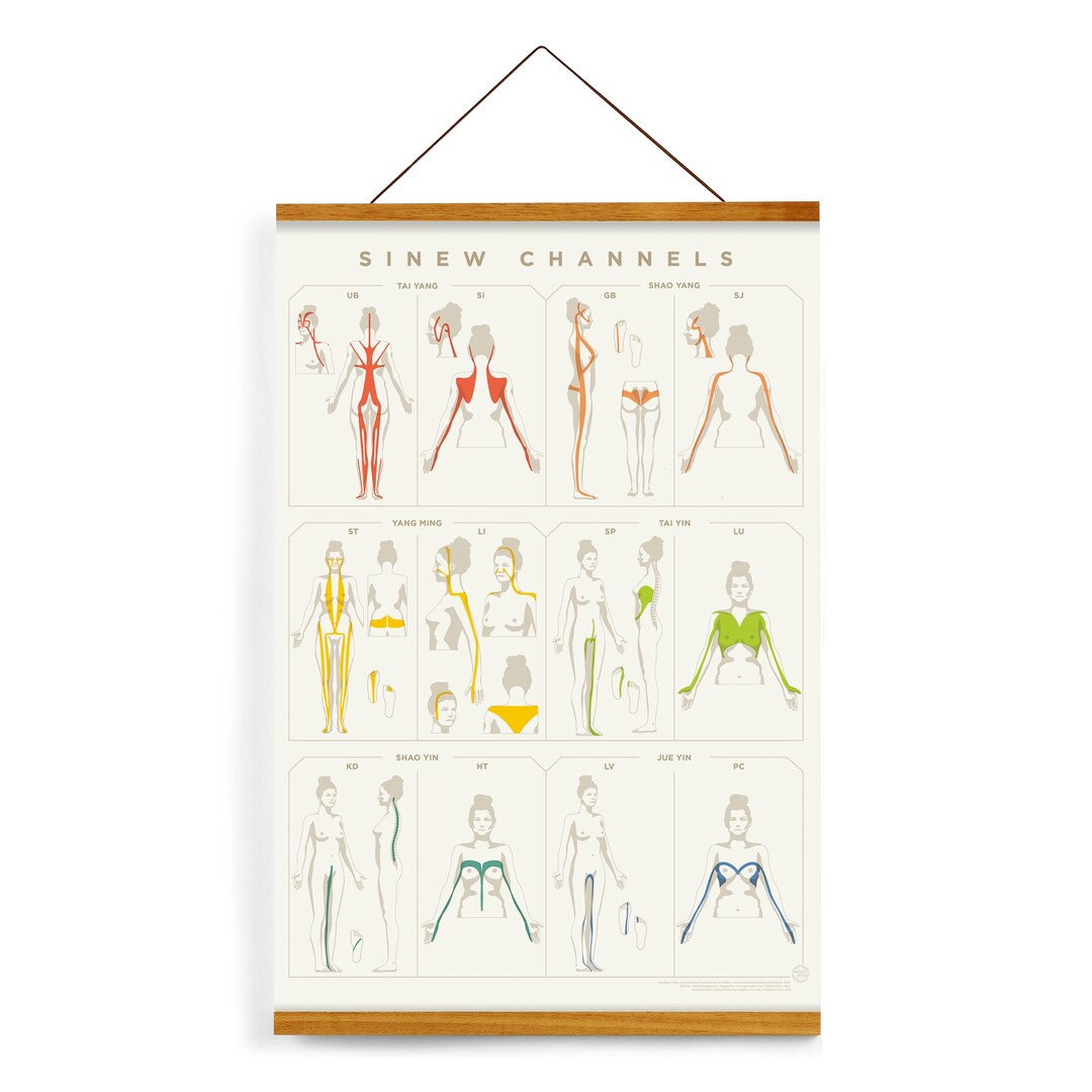 Sinew Channels 17" X 25", Frame Optional, Acupuncture, Chinese Medicine ...