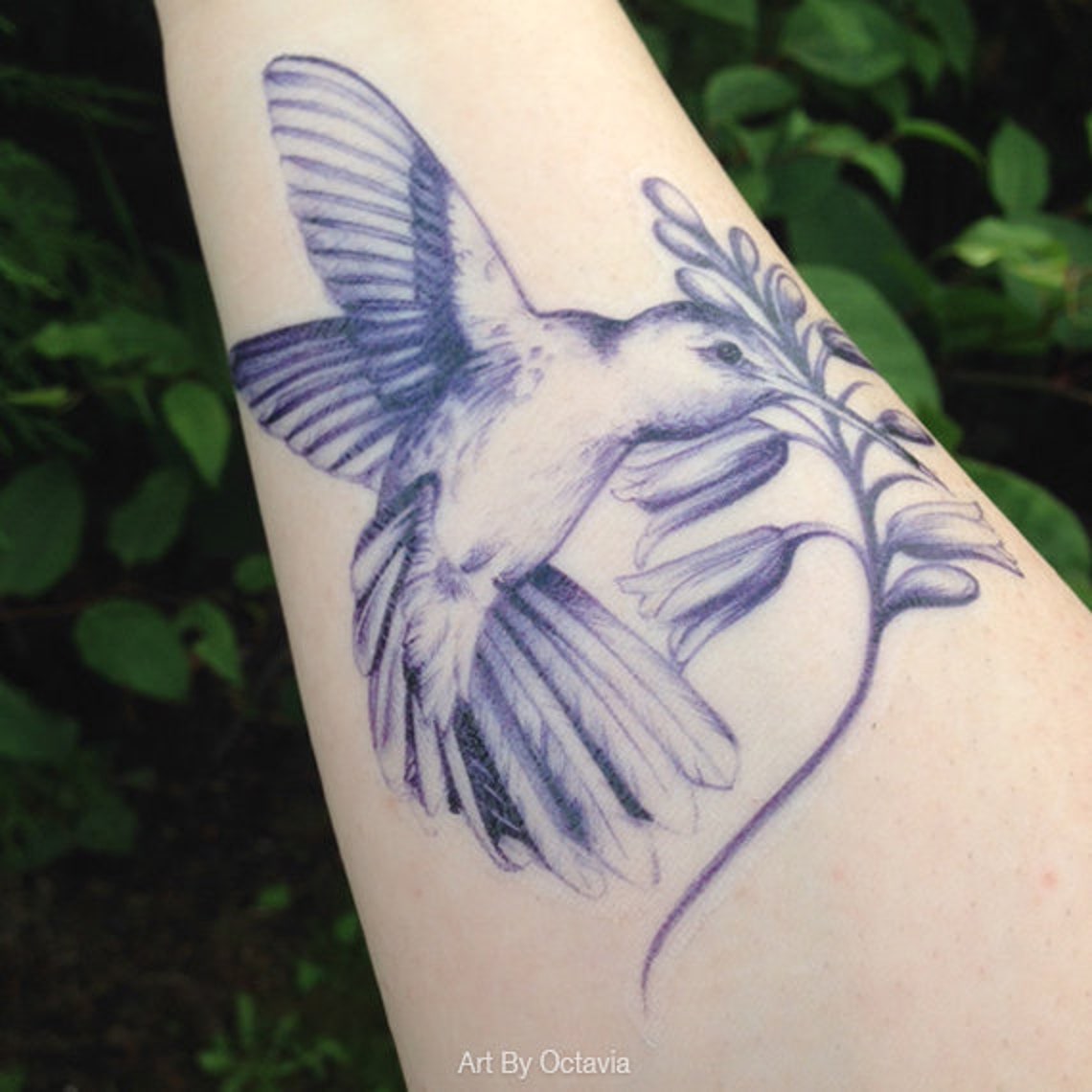 Hummingbird Tattoo Flash, Hummingbird Tattoo, Hummingbird Tattoo Flash ...