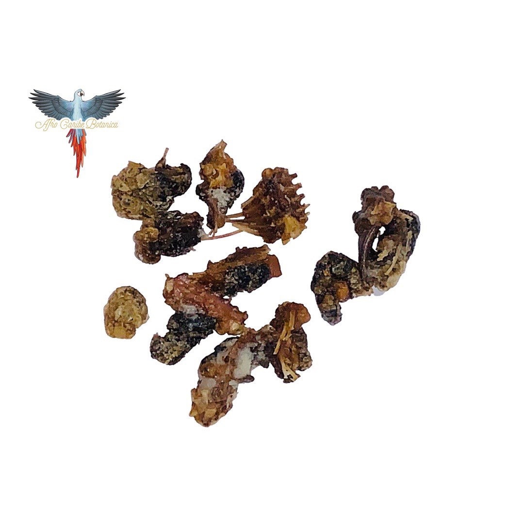 Snake Bones/ejo - Etsy