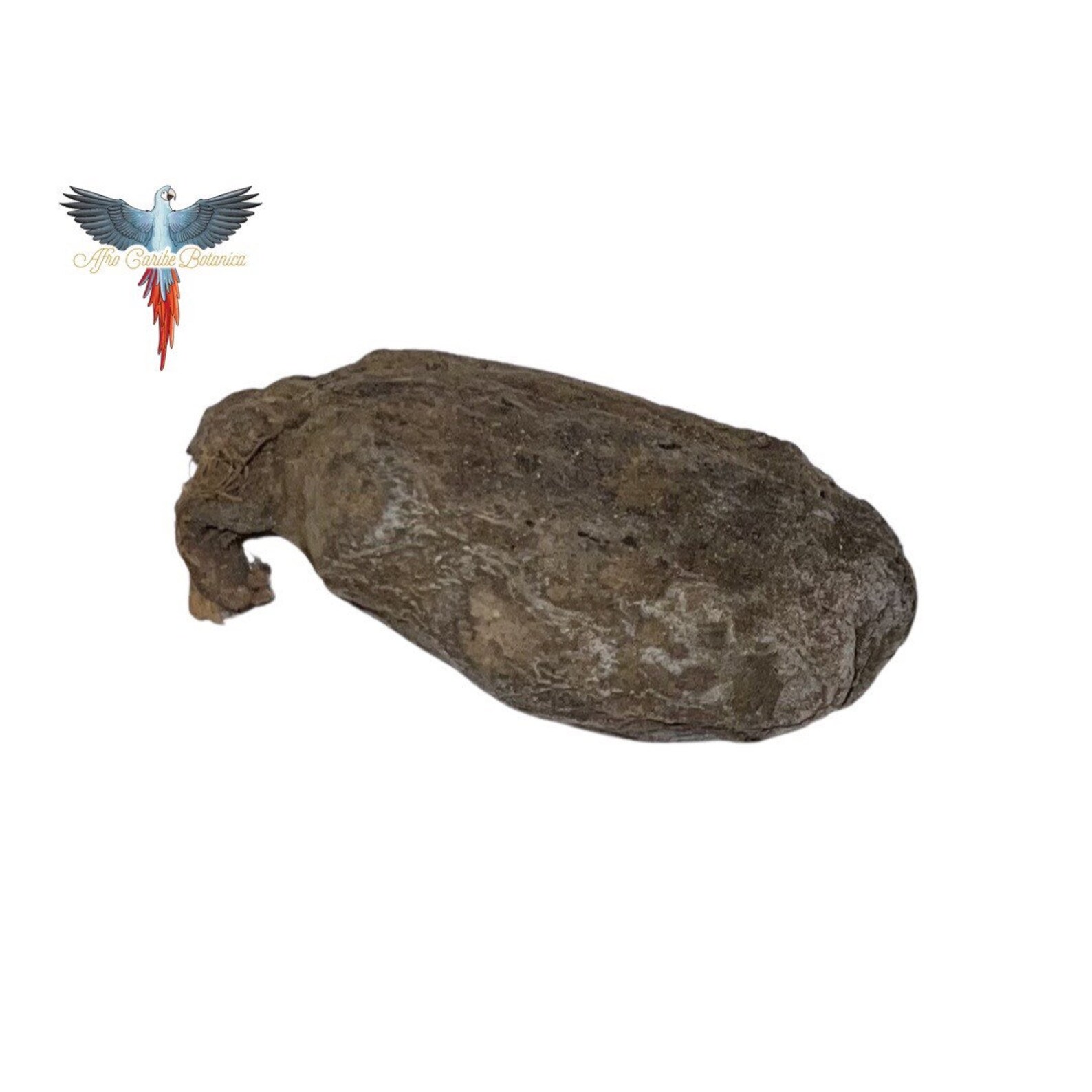 Obi Edun/monkey Kola - Etsy