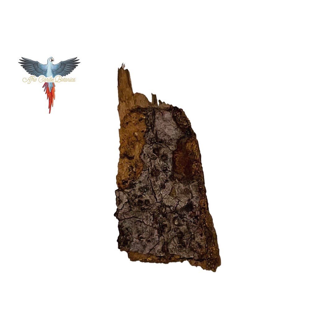 Igi Iroko Tree Bark - Etsy