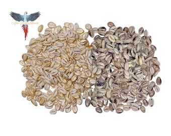 Obi Edun/monkey Kola - Etsy