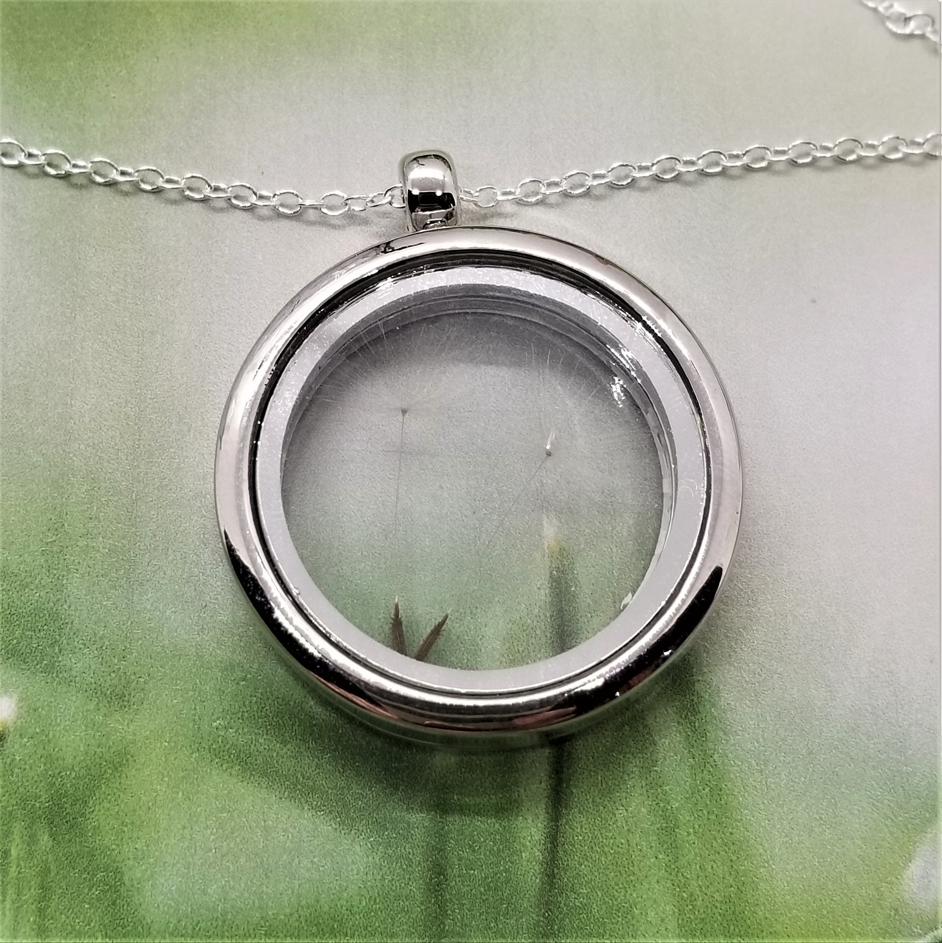 Dandelion Silver Floating Locket Necklace on a Dainty Silver Plated ...
