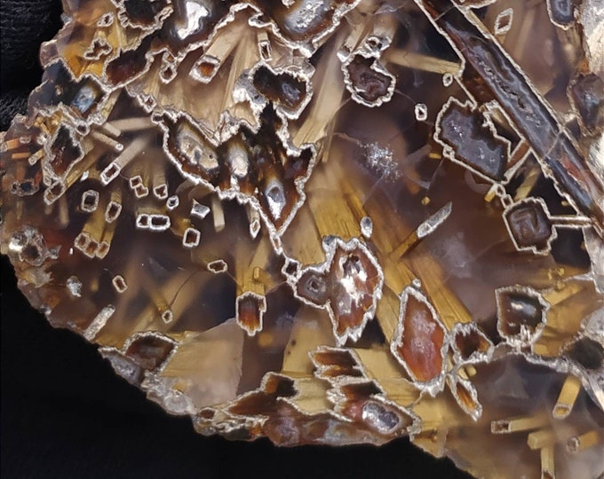 Selected Specimen , Turkish Stick Agate,mirror Polished Agate, Tube ...