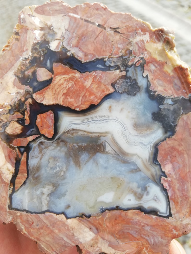 Thunderegg Agate Thunder Egg Agatenot Polished - Etsy