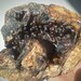 Big Black and Red Carnelian Botryoidal,15x15 Cms 6x 6 Agate/chalcedony ...