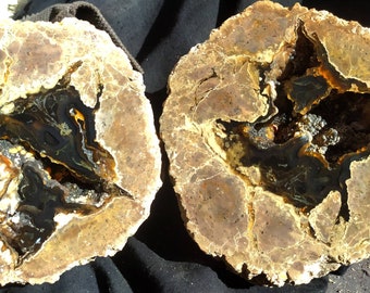 Turkish Thunderegg polished - Etsy