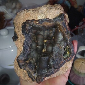 Large Black Botryoidal Thunderegg Geode: Turkish Ankara Agate - Etsy