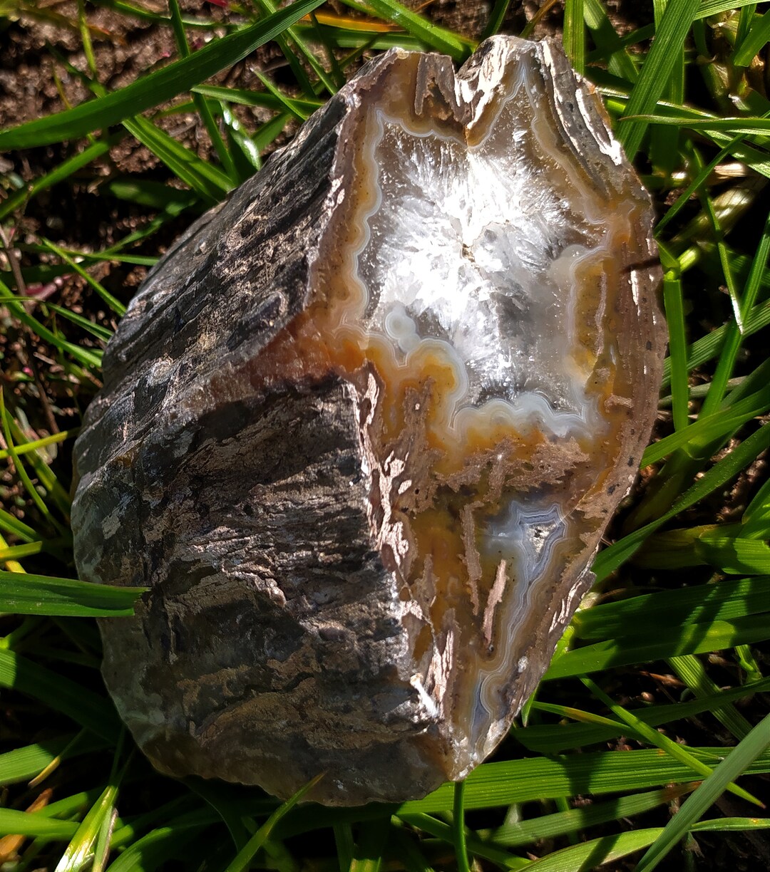 Polished!,turkish Banded Agate With Quartz Center Inside Rhyolite Rock ...