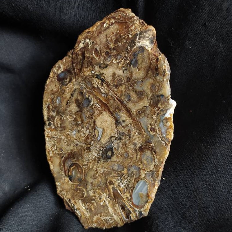 Sedimentary Rock - Etsy