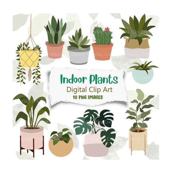Indoor Plants Clipart Gardening House Plants PNG Vector | Etsy