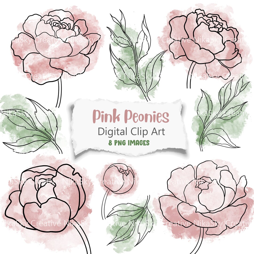 Pink Peonies Clipart, Flowers, Floral, Plants - Watercolor PNG Vector ...