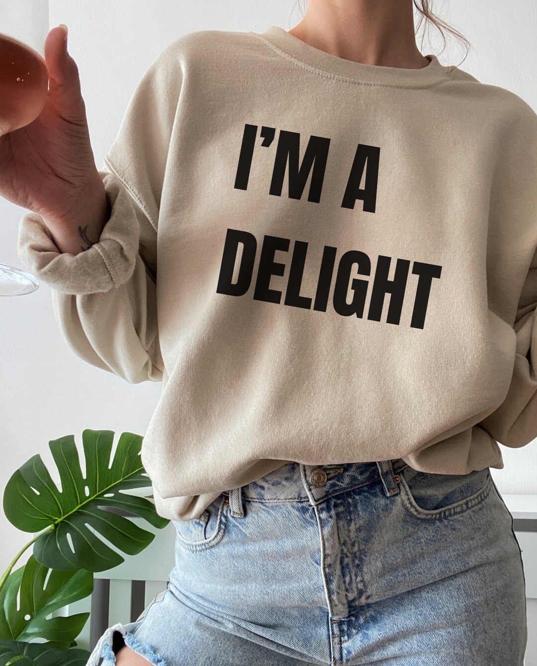 Funny Sweatshirt, I'm a Delight, I Am a Delight, Sarcastic Sweatshirt ...