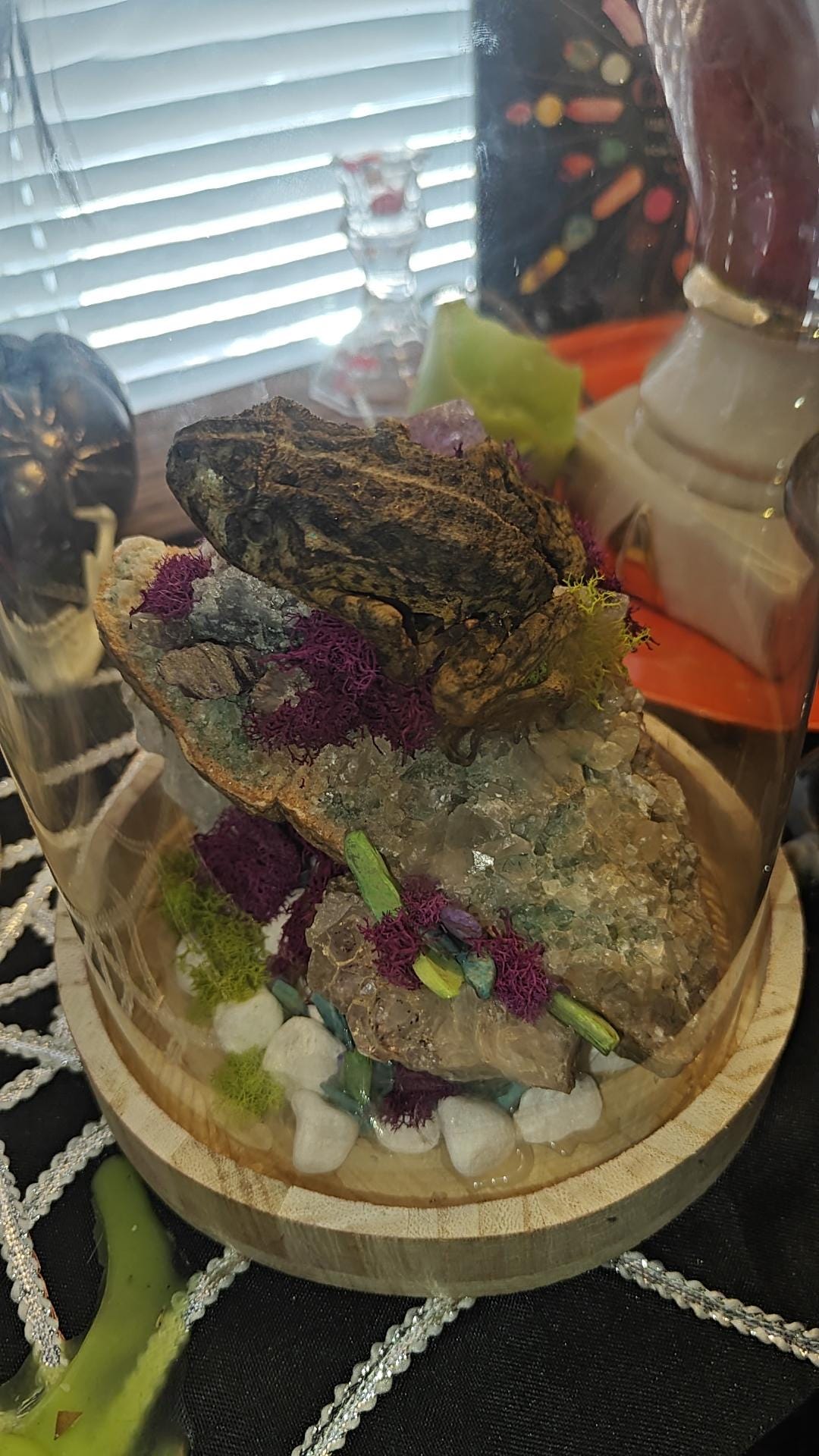Petrified Woodhouse Toad With Amethyst and Quartz Crystals - Etsy