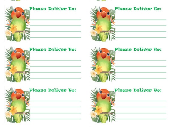 Bird 6 PDT Please Deliver to Labels - Etsy