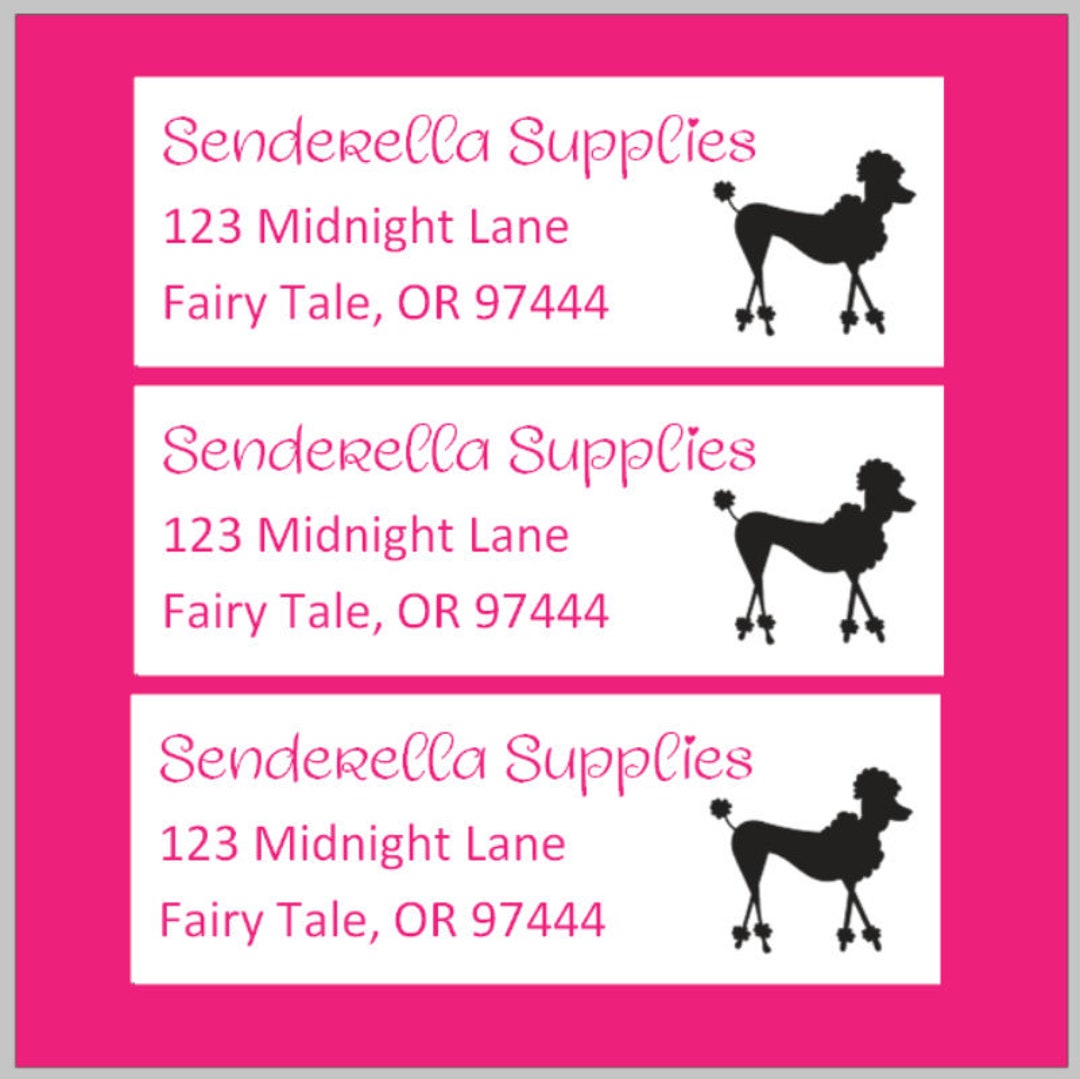 People Lady Shopping Paris Poodle Black and Pink Theme Address Label - Etsy