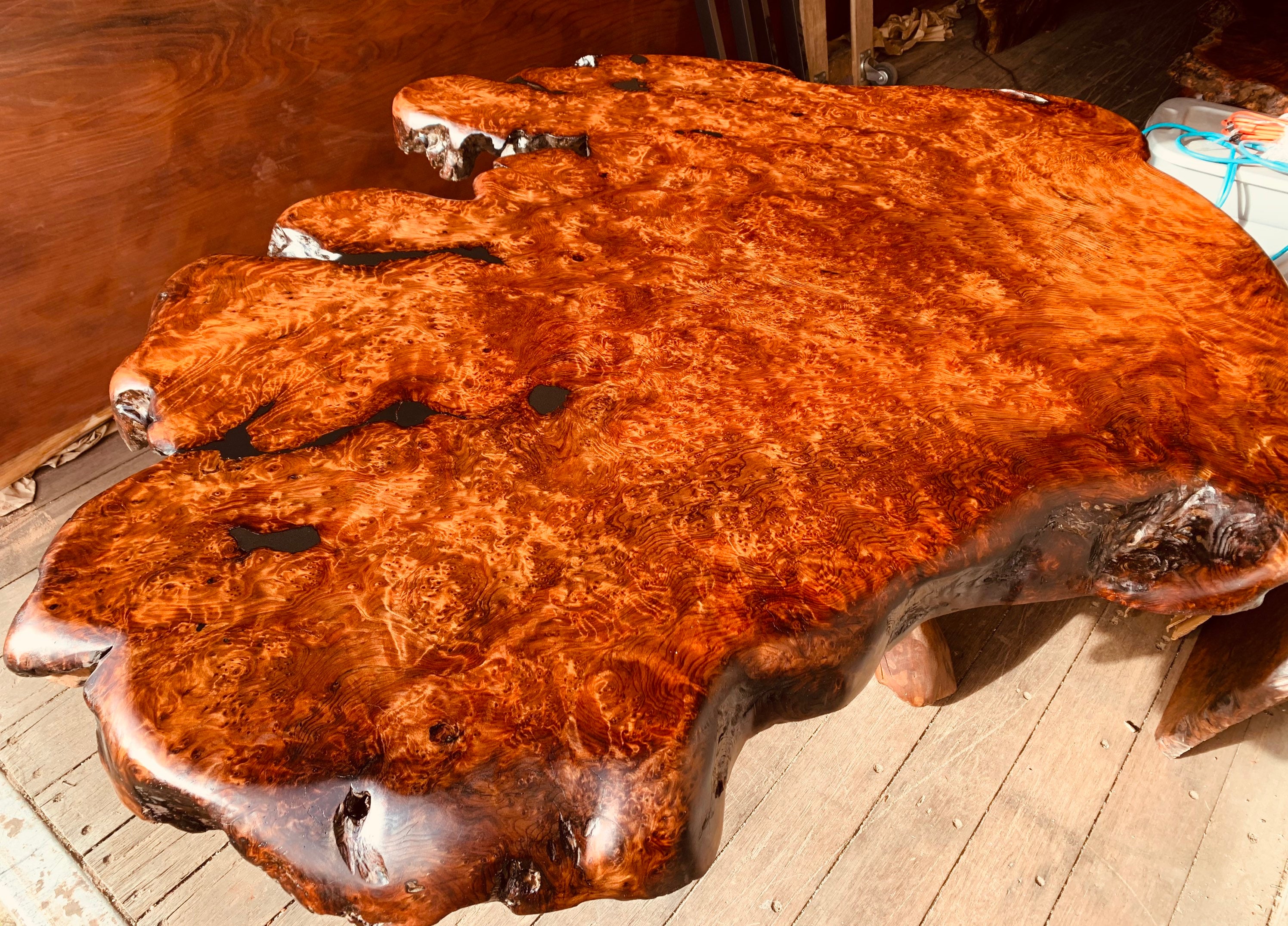 Redwood Lace Burl Coffee Table. - Etsy