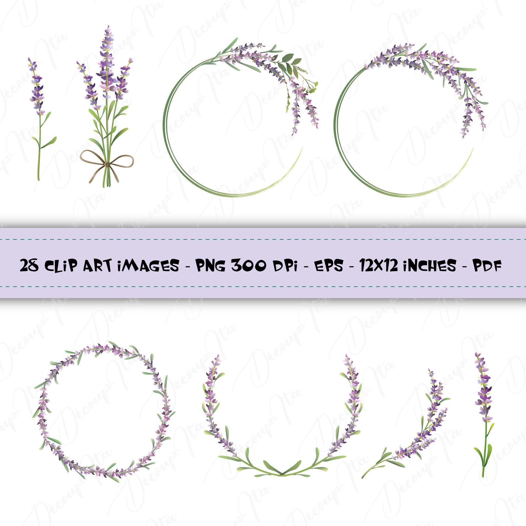 Beautiful Set, Floral Elements Lavander Flower, Lavender Sprigs ...