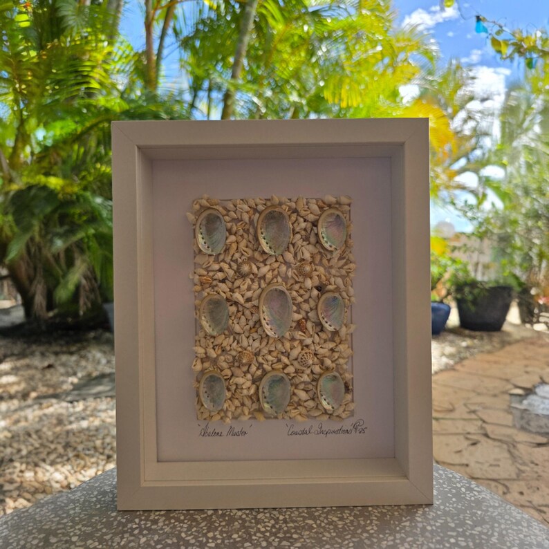 Abalone Muster - Etsy