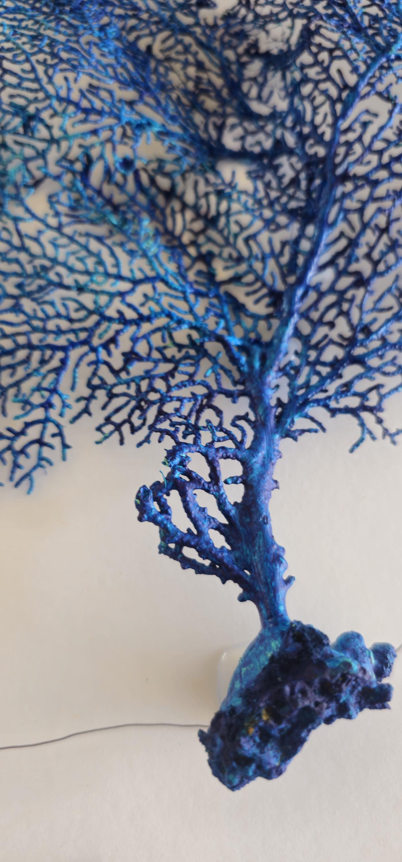 Coral Fern electric Blue - Etsy