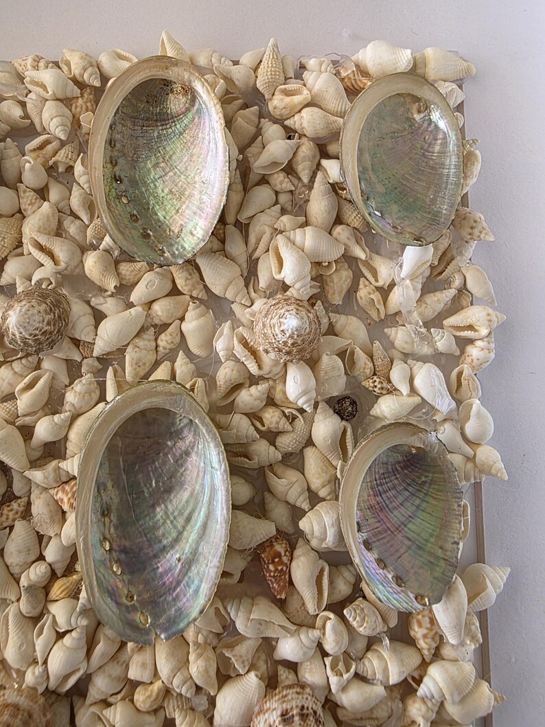 Abalone Muster - Etsy