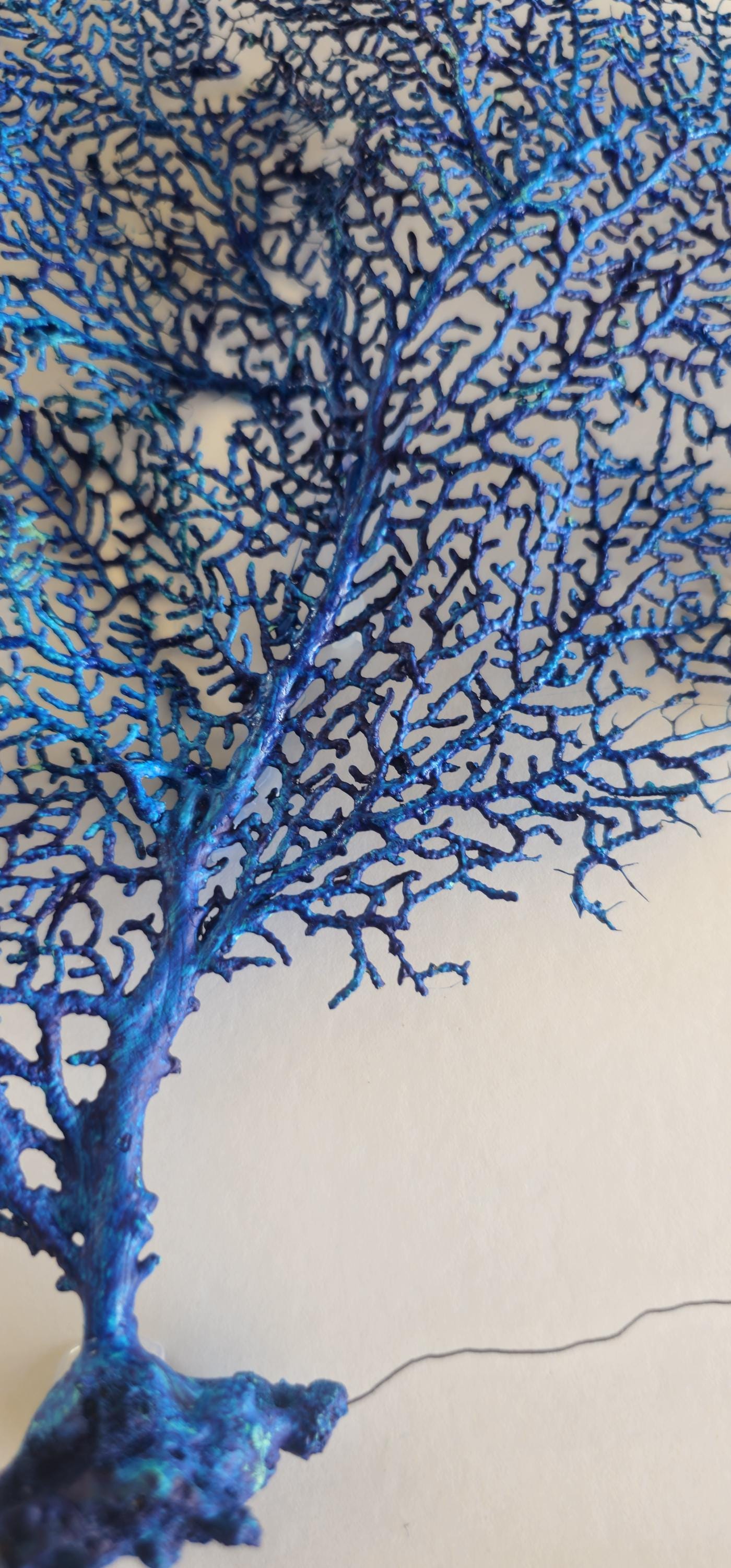 Coral Fern electric Blue - Etsy