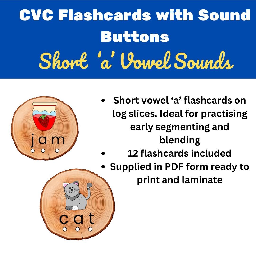 Phonics Flashcards, CVC Word Cards and Pictures , Short 'a' Vowel Sound ...