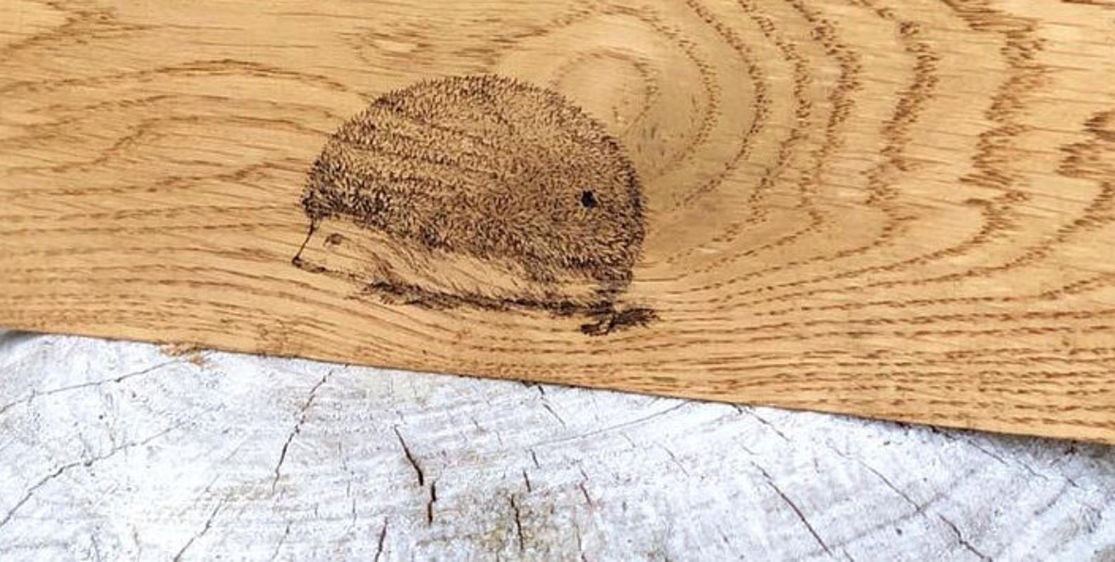 Hedgehog House Sign Wooden Sign Outdoor Hedgehog Plaque | Etsy